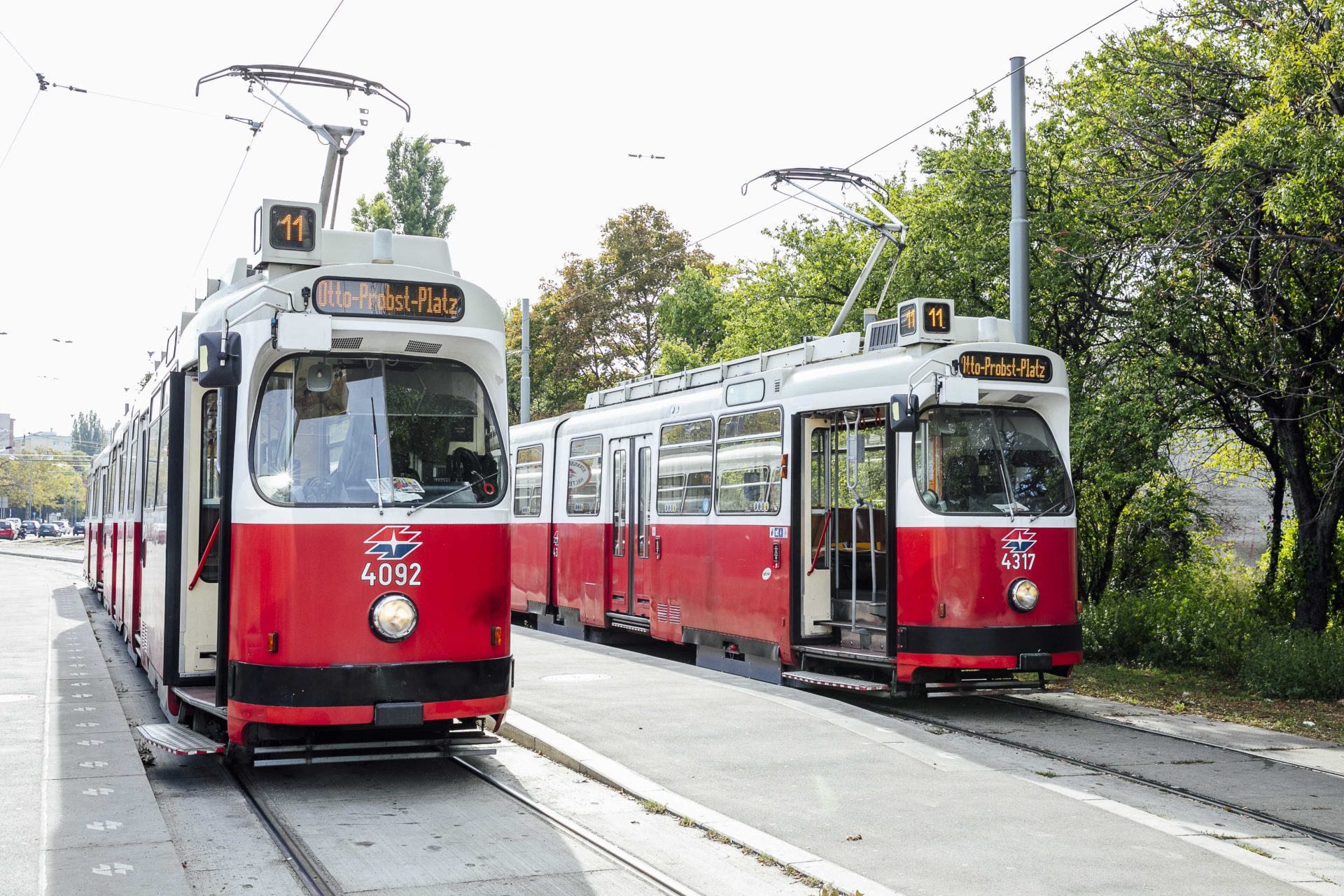Wiener Linien Jahreskarte im Sommer in 6 Städten gültig - Wiener ...