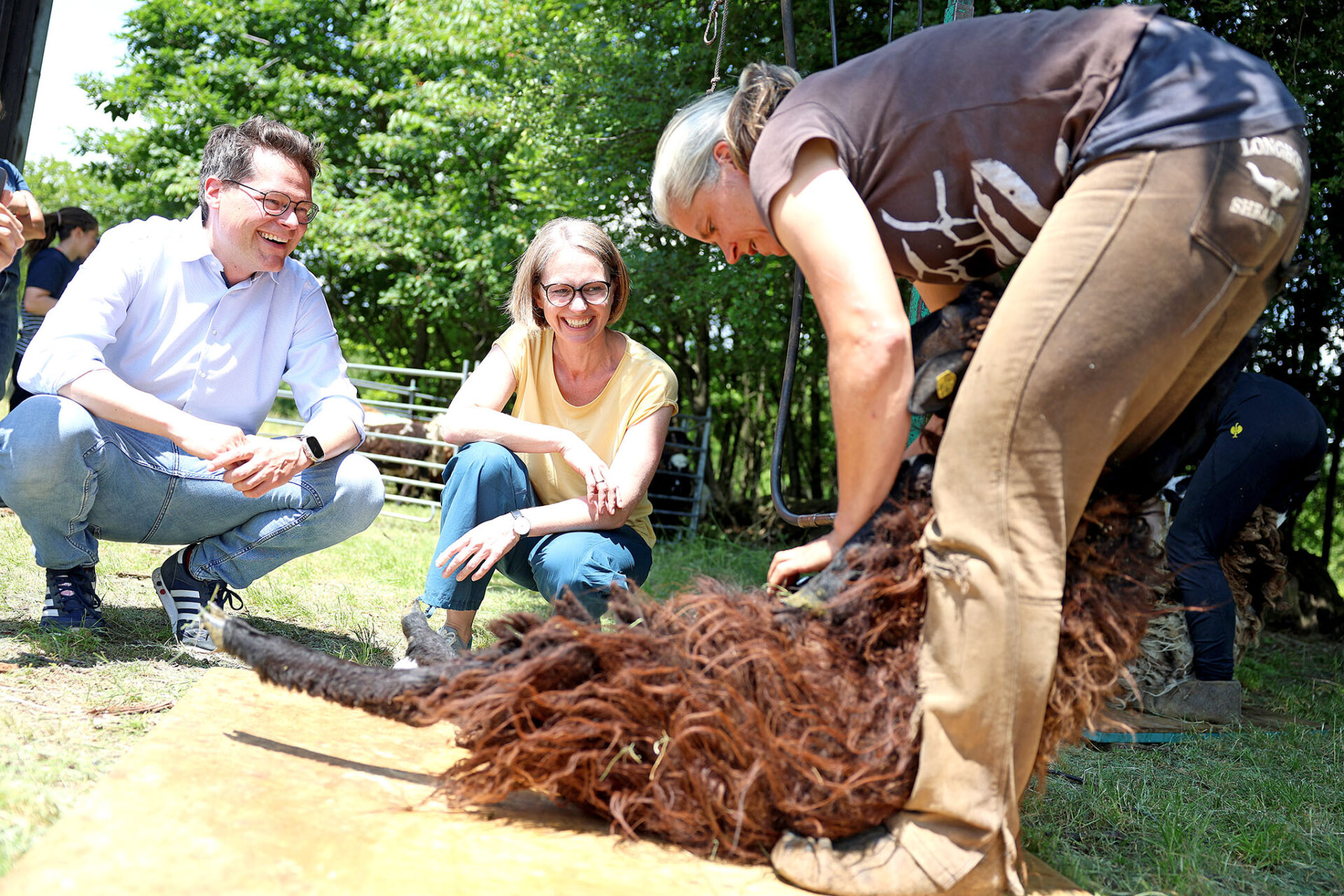 Ritsch-ratsch! Schafscher-Tage auf den Steinhofgründen - Wiener ...