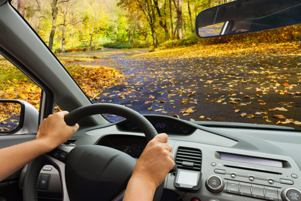Tipps für eine gute und sichere Fahrt im Herbst! - Wiener Bezirksblatt